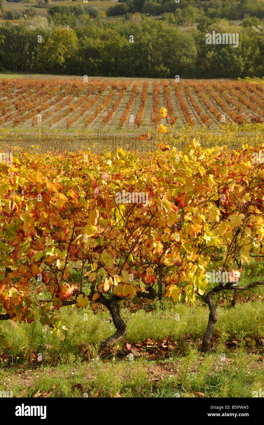 Viticulture france Banque de photographies et d’images à haute ...