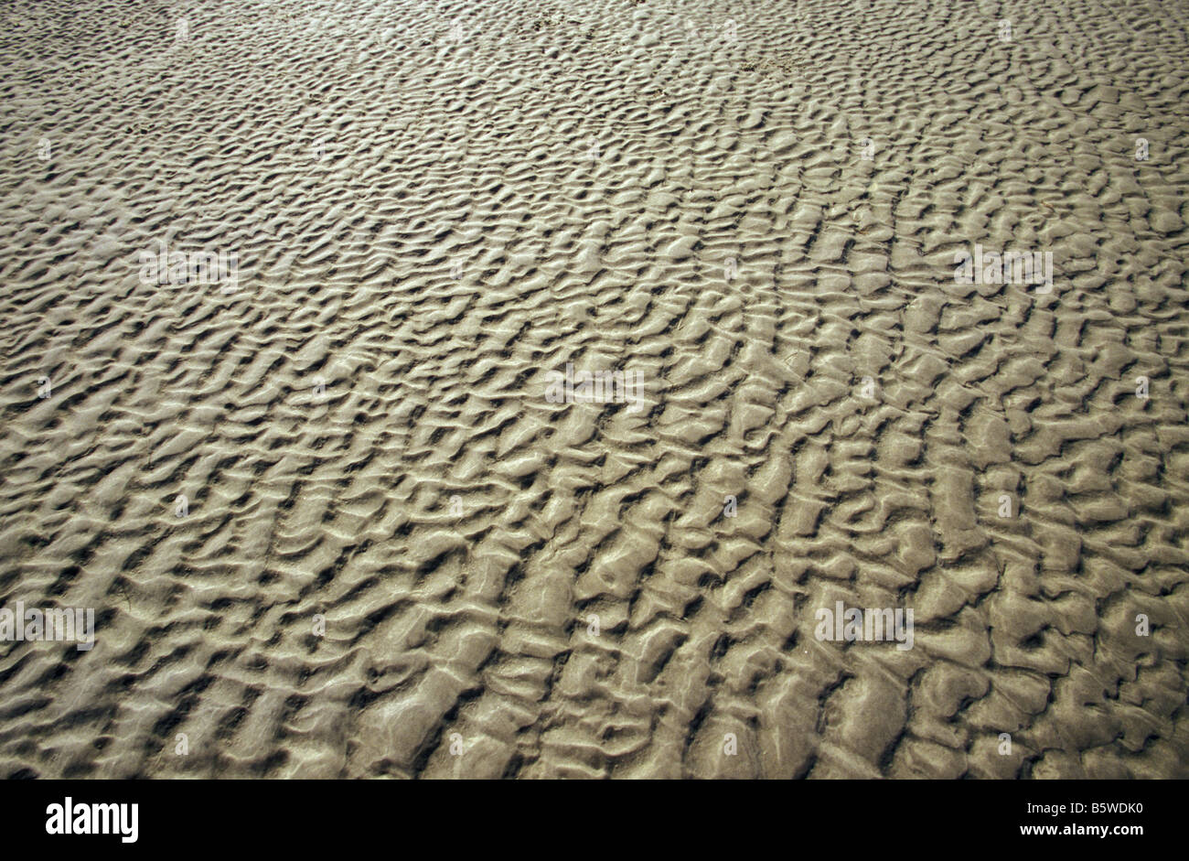 Structure de sable Banque de photographies et d’images à haute ...