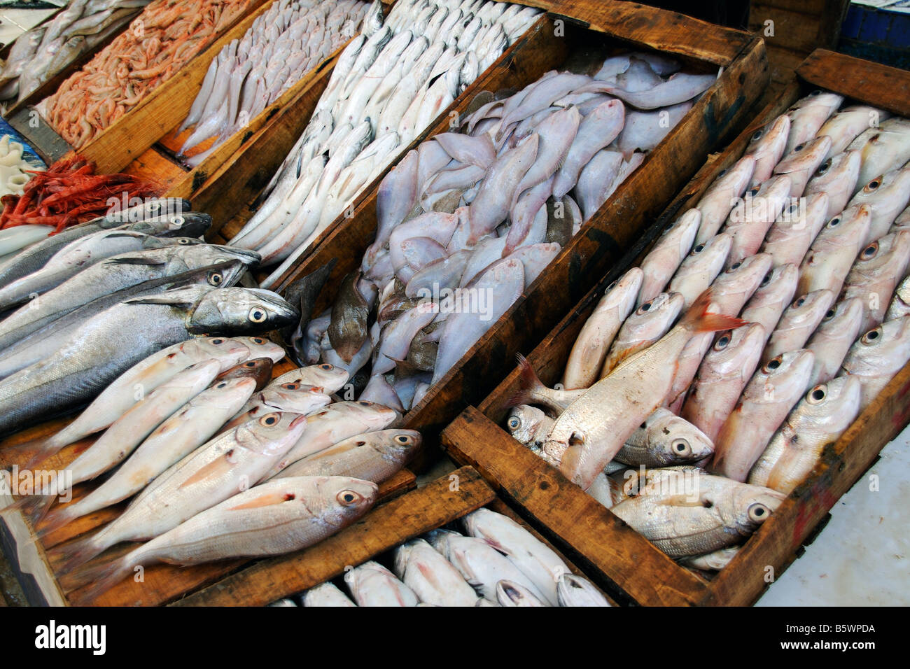 Poisson souk Banque de photographies et d’images à haute résolution - Alamy