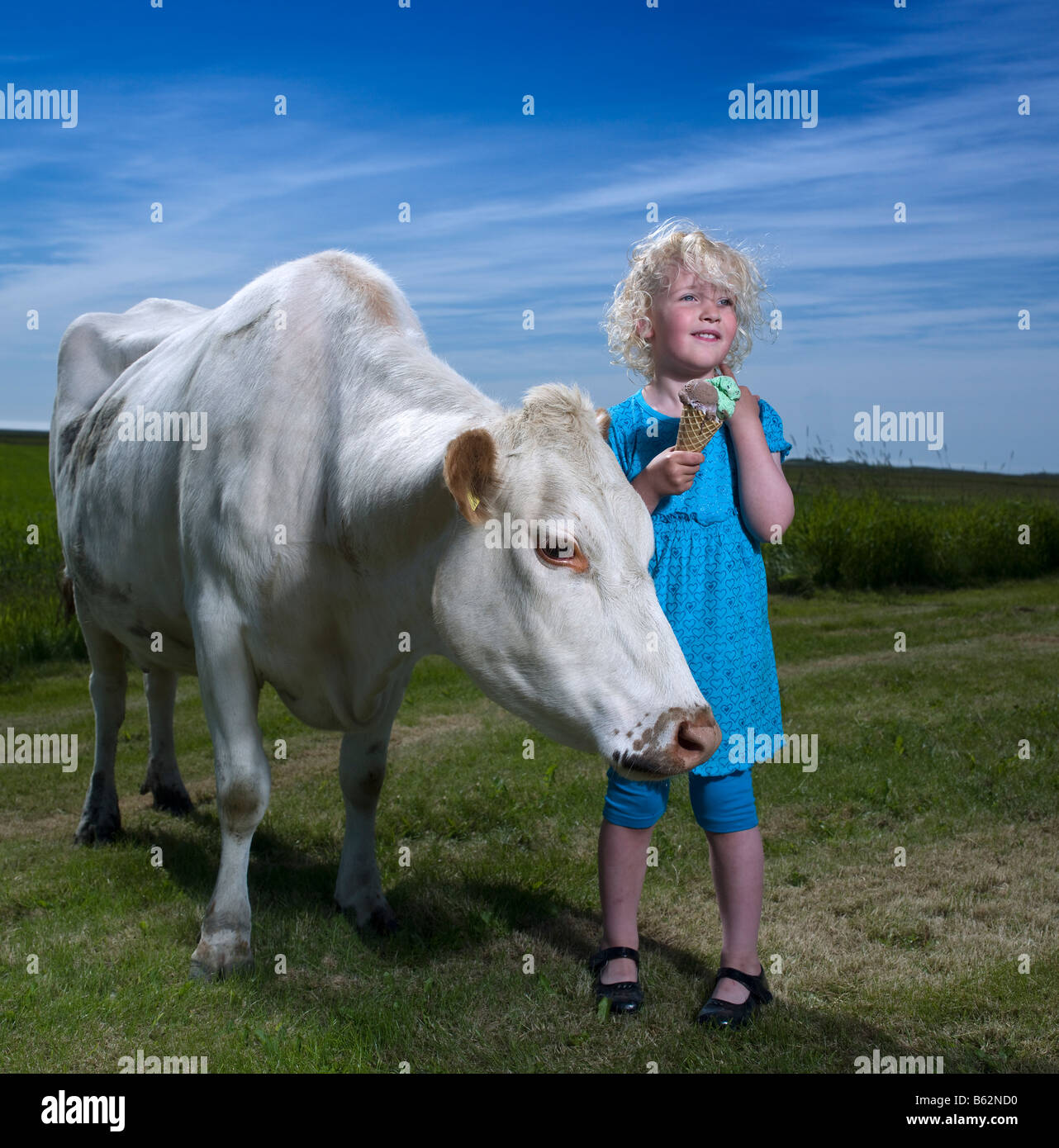 Animals Eating Ice Cream Banque d'image et photos - Alamy