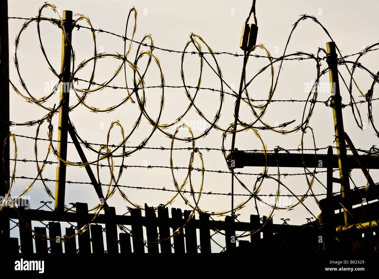 Barbed wire fence Banque de photographies et d’images à haute ...