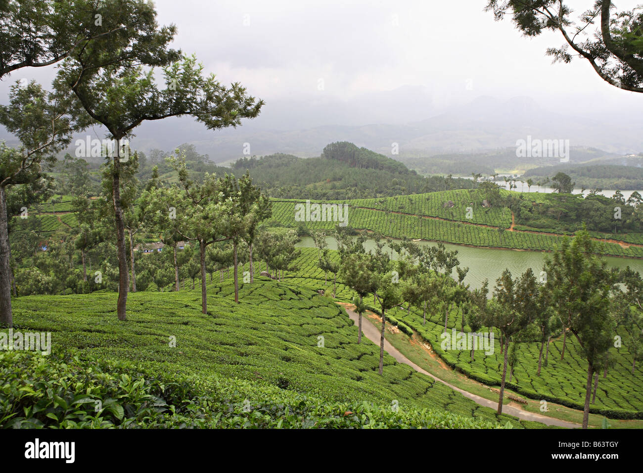 Kerala scenes Banque de photographies et d’images à haute résolution ...