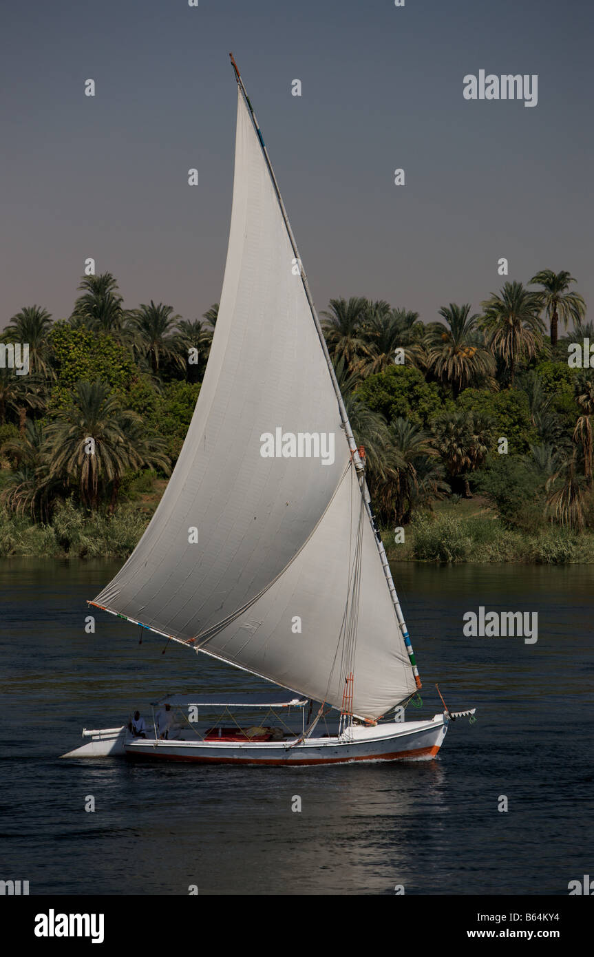 Voile sur une felouque Banque de photographies et d’images à haute ...