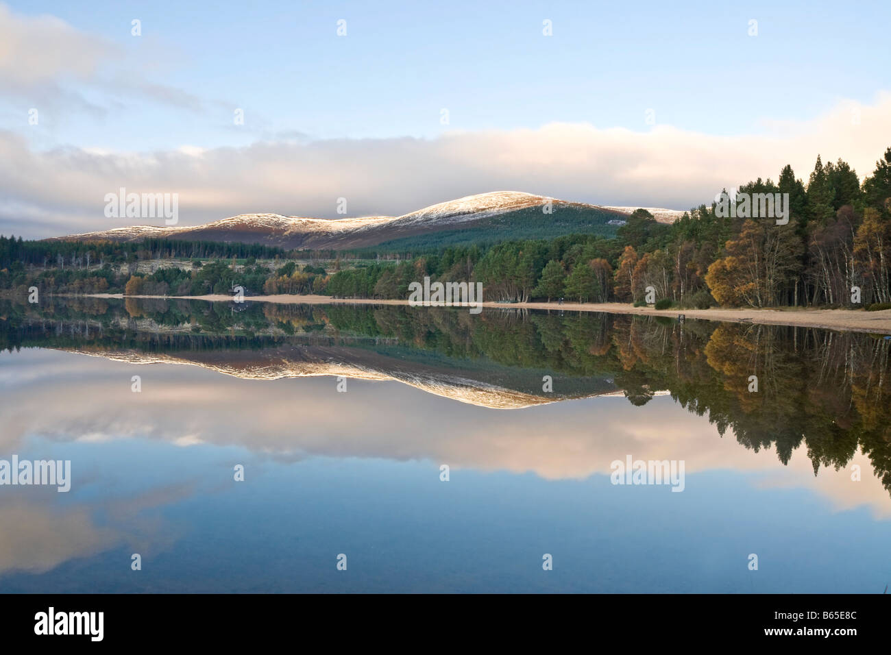 Loch morlich ecosse Banque de photographies et d’images à haute ...