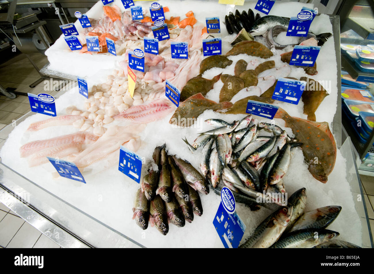 Poisson supermarché francais france Banque de photographies et d’images ...