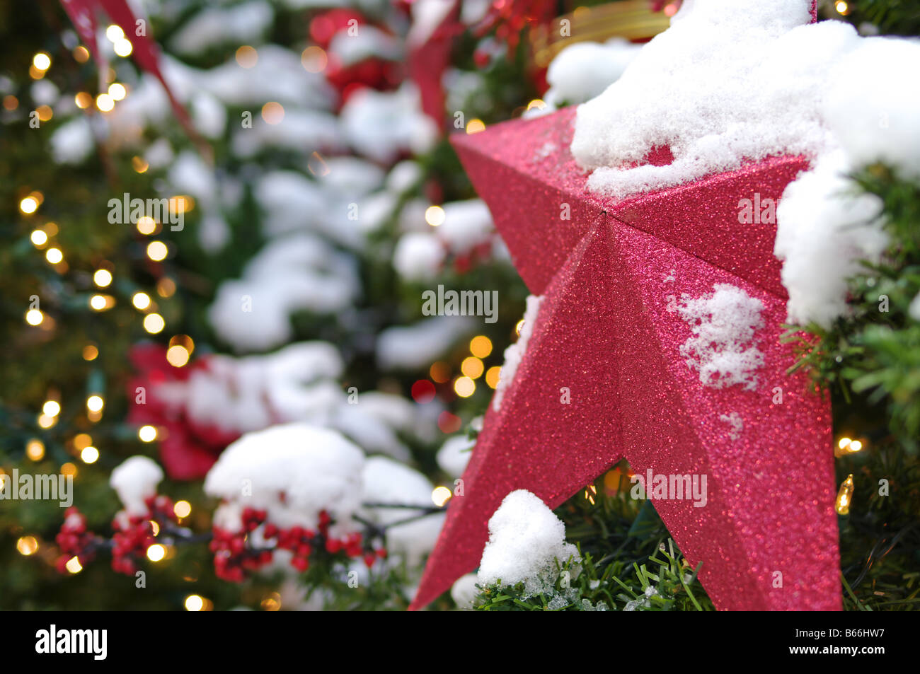 Estrella de la nieves Banque de photographies et d’images à haute ...