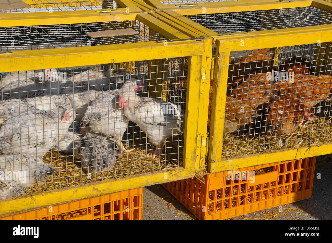 Giat france Banque de photographies et d’images à haute résolution - Alamy