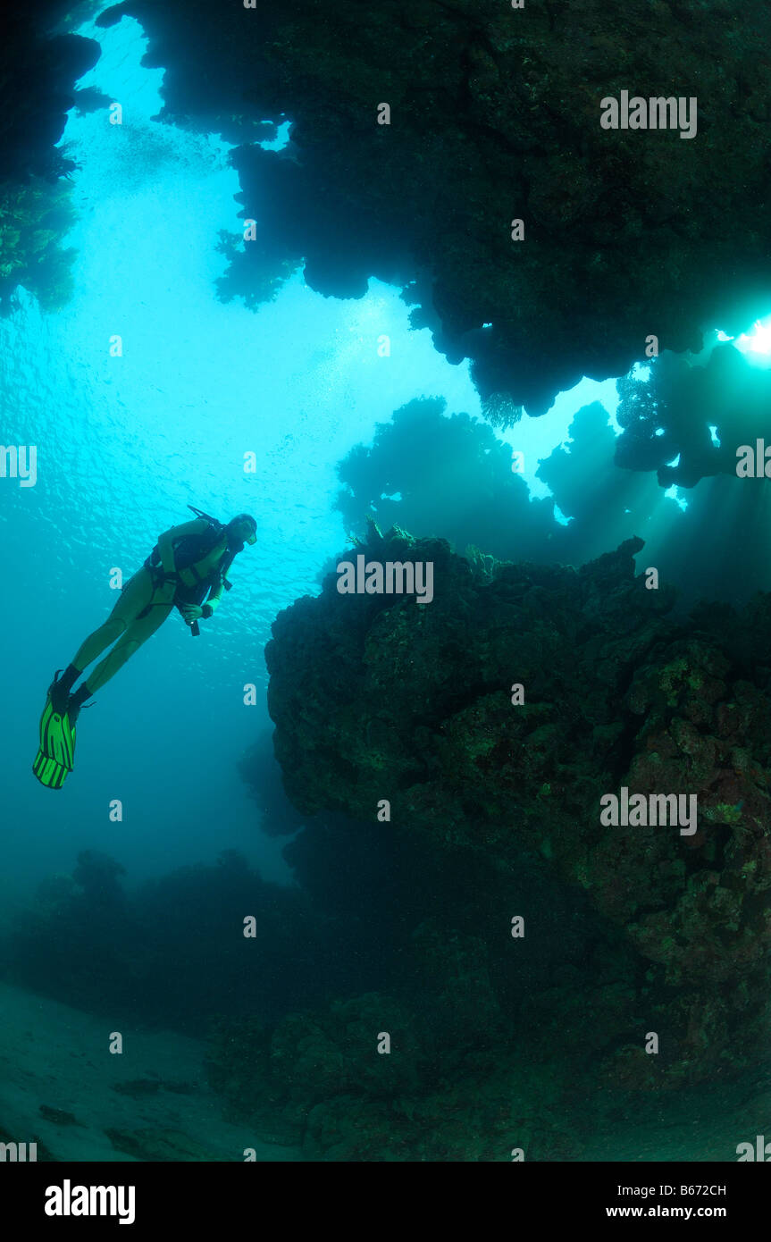 Dans Cave Diver Abu Dabab Egypte Mer Rouge Marsa Alam Photo Stock - Alamy