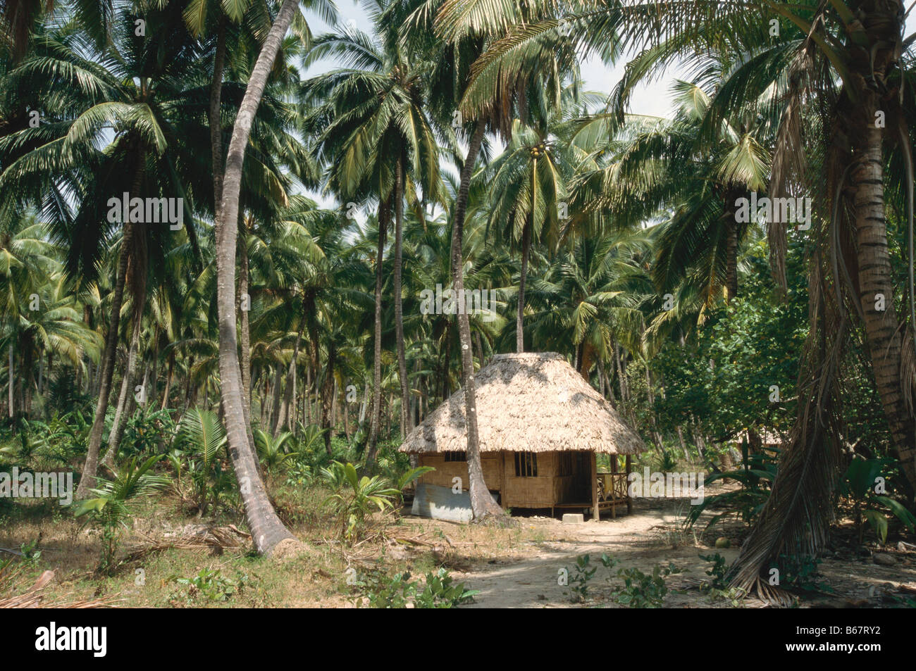 Une case en paille au milieu d'une forêt tropicale, Avis, îles Andaman ...