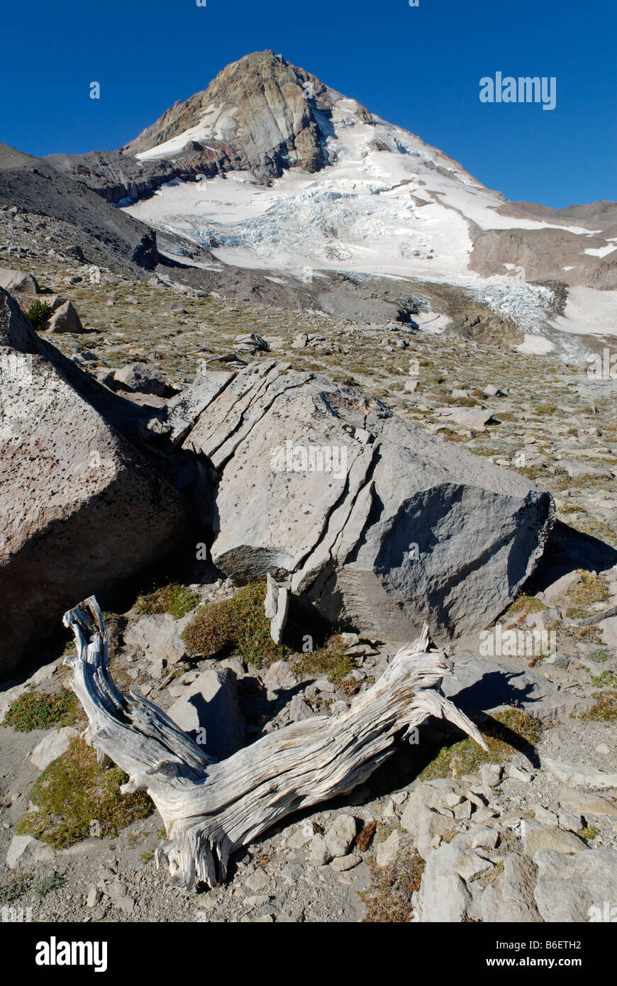 Bordure orientale du volcan Mount Hood et Elliot Glacier, Cooper Spur ...