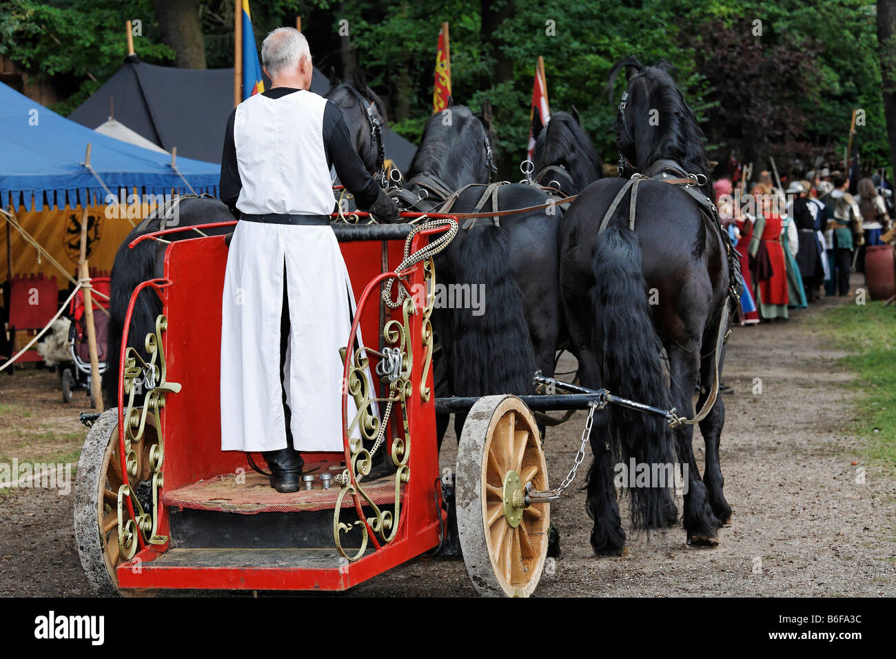 Char tiré par des coqs ou des coqs Banque de photographies et d’images ...