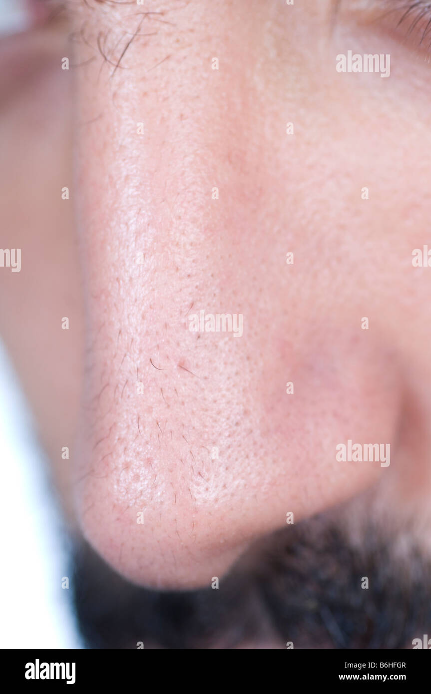 Anatomie de l'odorat Banque de photographies et d’images à haute ...