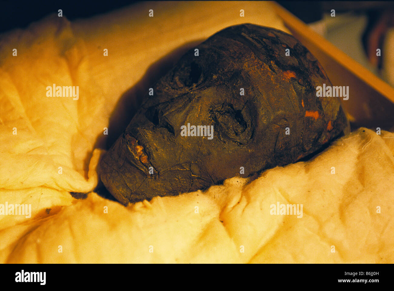 Egypt tomb kings mummy tutankhamun Banque de photographies et d’images ...