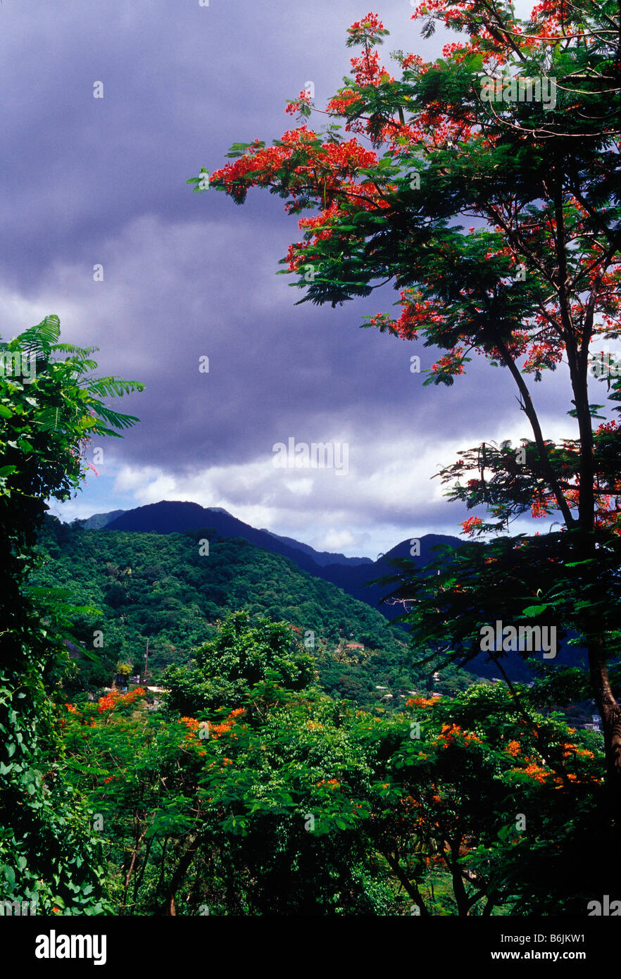 Soufriere dominica Banque de photographies et d’images à haute ...