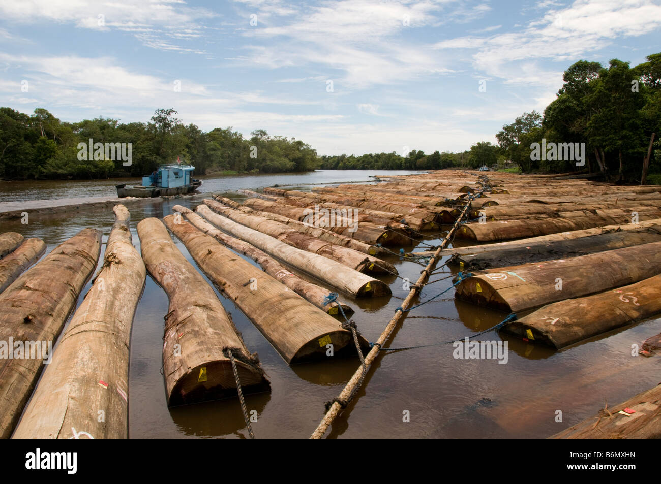 Borneo deforestation Banque de photographies et d’images à haute résolution - Alamy