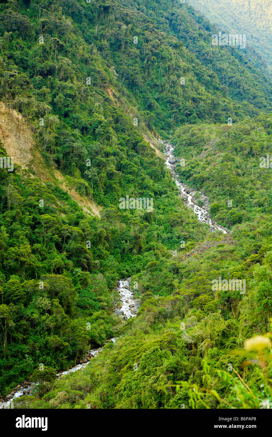 Ruisseau actuel Banque de photographies et d’images à haute résolution - Alamy