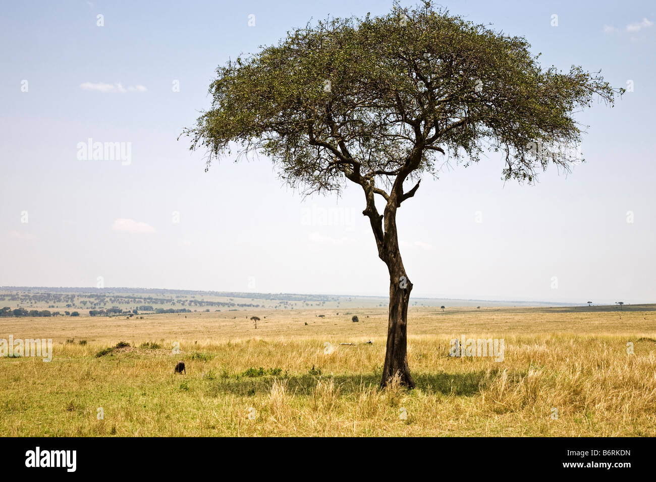 Paysage afrique Banque de photographies et d’images à haute résolution ...