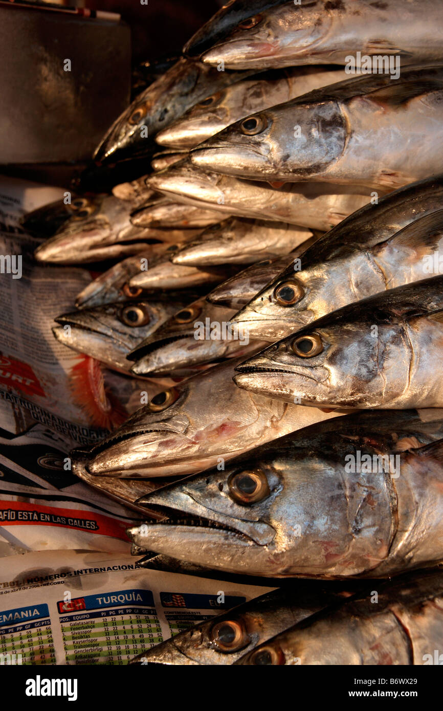 étal de poisson mexique Banque de photographies et d’images à haute ...