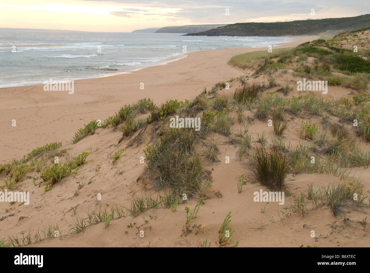Waitpinga beach Banque de photographies et d’images à haute résolution ...