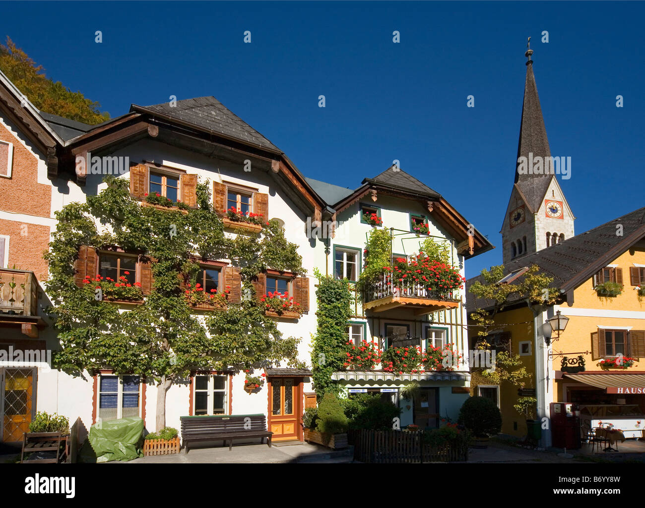 Arbre sur le mur de Hallstatt Autriche Photo Stock - Alamy
