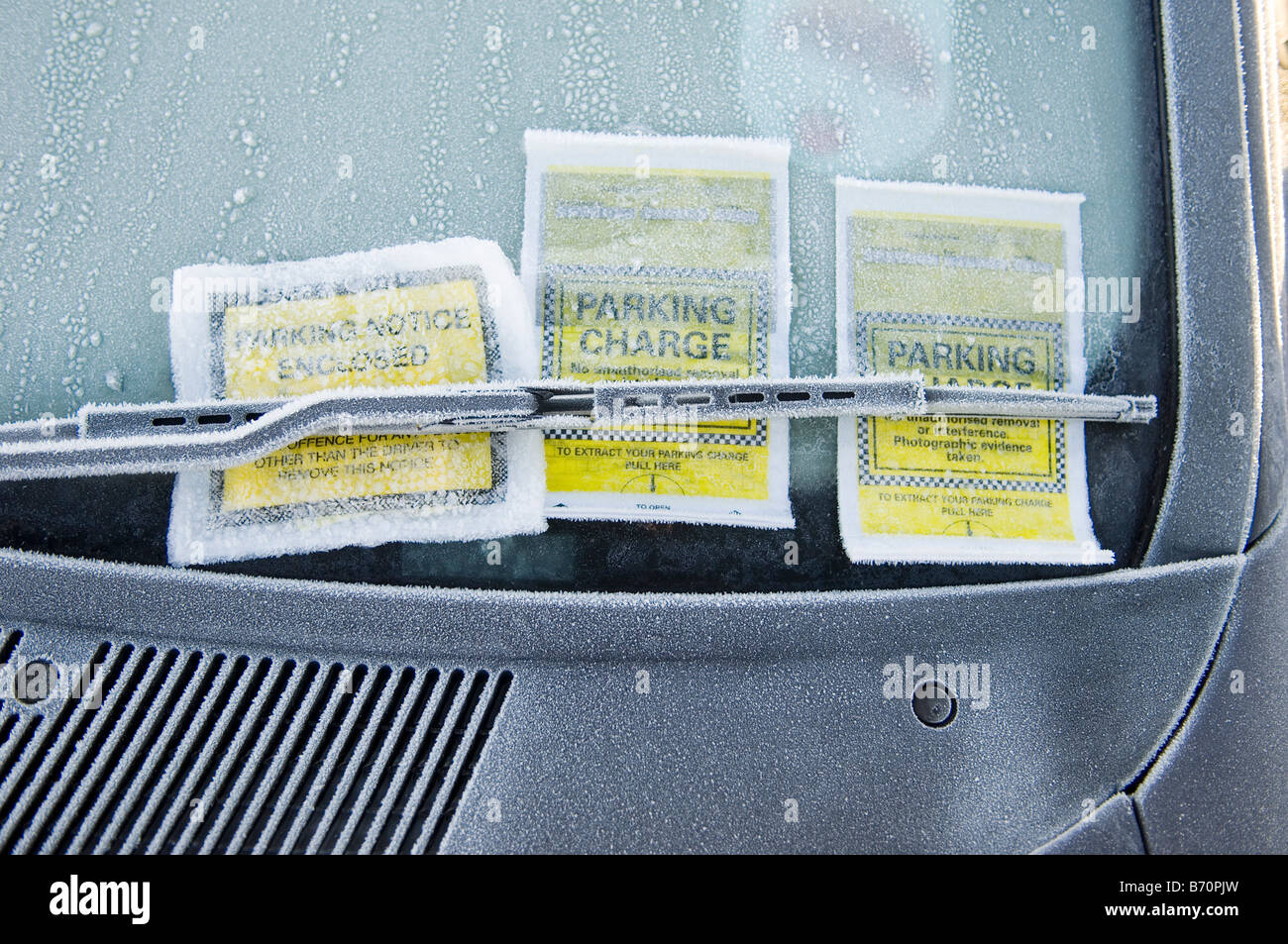 Trois tickets de parking Banque de photographies et d’images à haute ...