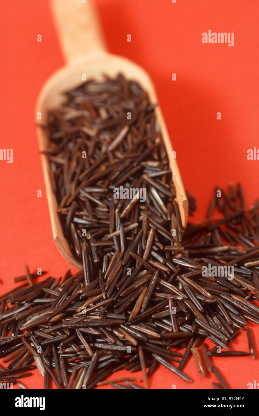 Riz sauvage zizania Banque de photographies et d’images à haute ...