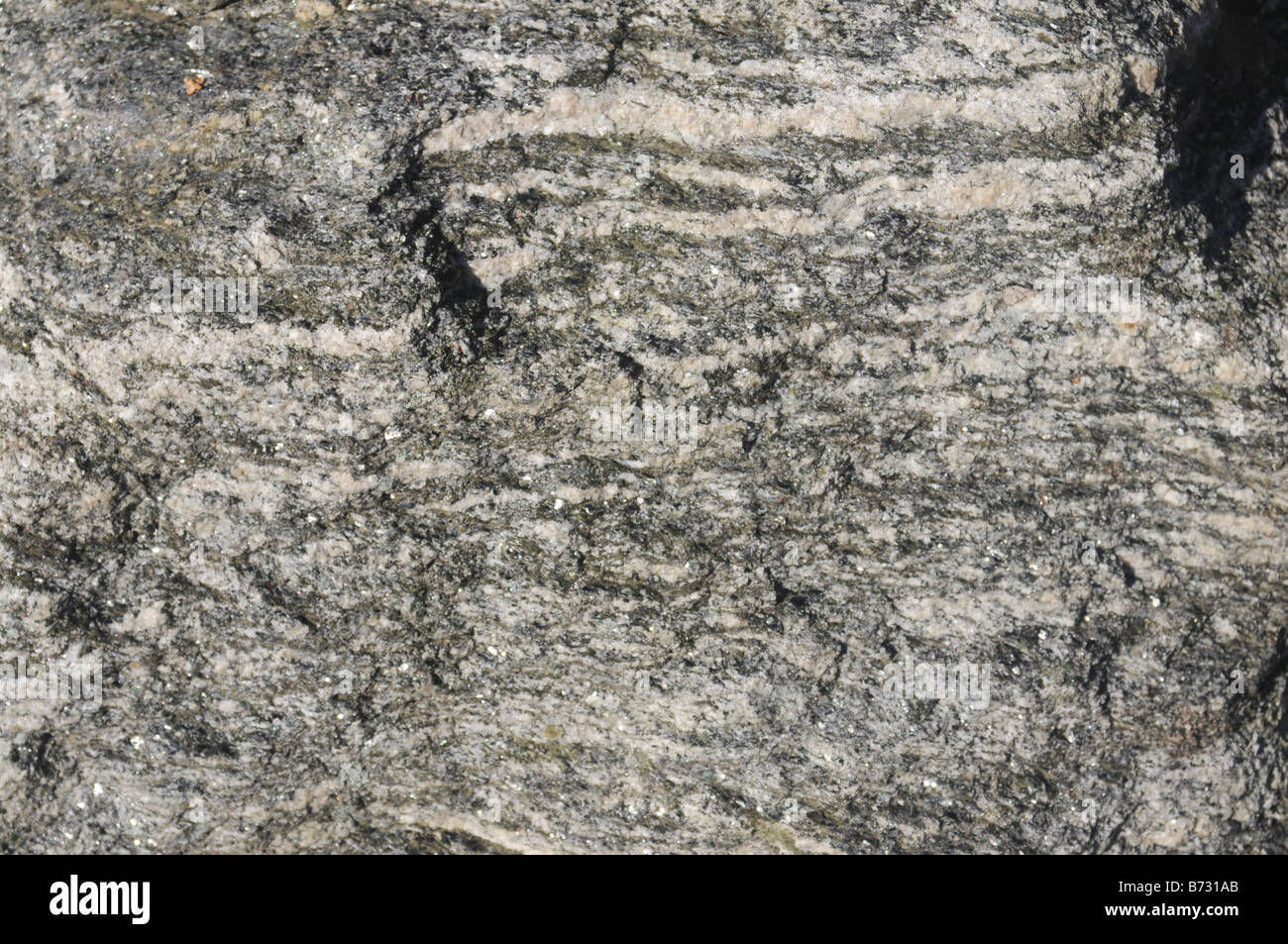 Libre de la structure de gneiss, d'une roche métamorphique Photo Stock ...