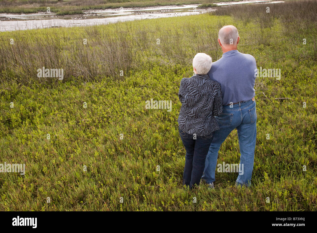 Prairie en couple avec bras dessus bras dessous, vue arrière Photo ...