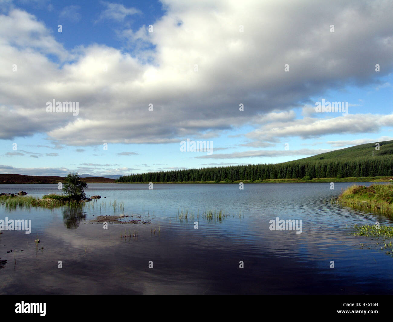 Highland écossais Banque de photographies et d’images à haute ...
