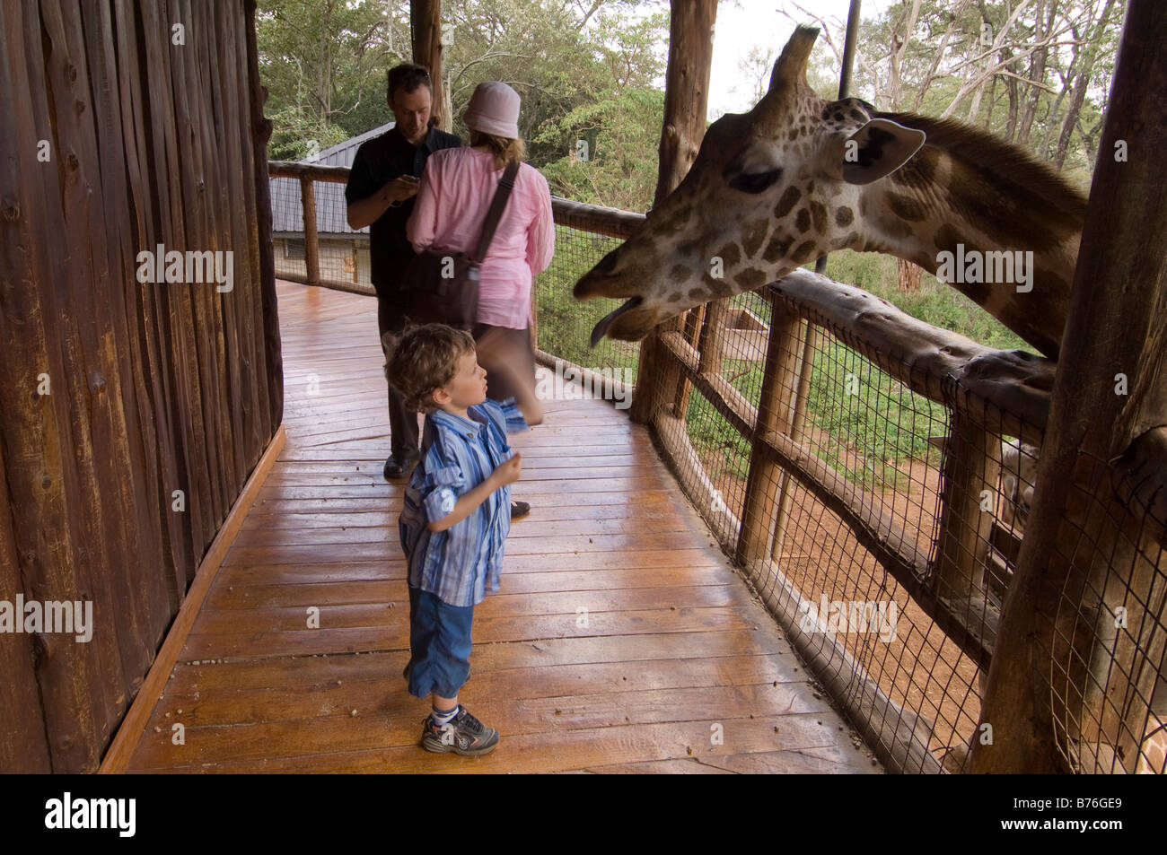 Giraffe centre Banque de photographies et d’images à haute résolution ...