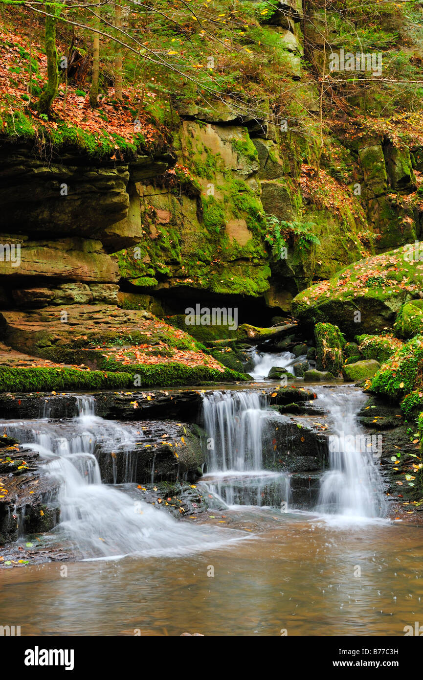 Cascade, au nord de la Forêt Noire, Bade-Wurtemberg, Allemagne, Europe ...