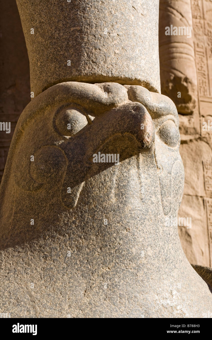 Close up de la statue d'Horus de Behdet sur le parvis à l'entrée de la ...