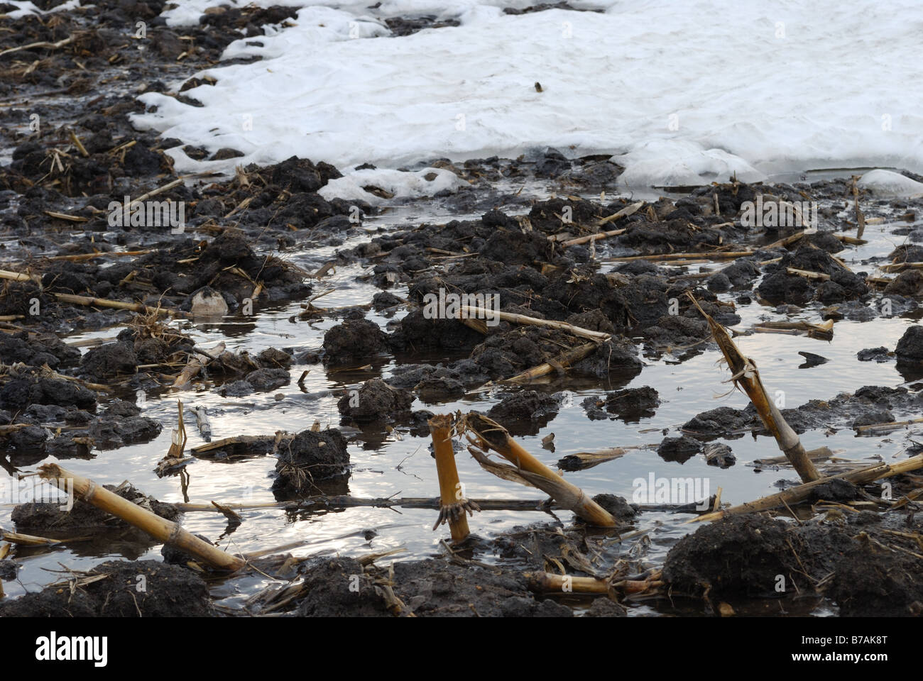 Pollution agricole Banque de photographies et d’images à haute ...