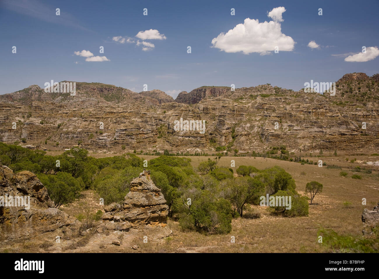 Isalo national park madagascar Banque de photographies et d’images à ...