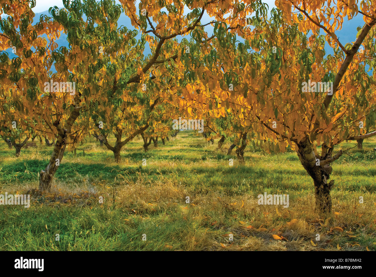 Kimberly oregon Banque de photographies et d’images à haute résolution ...