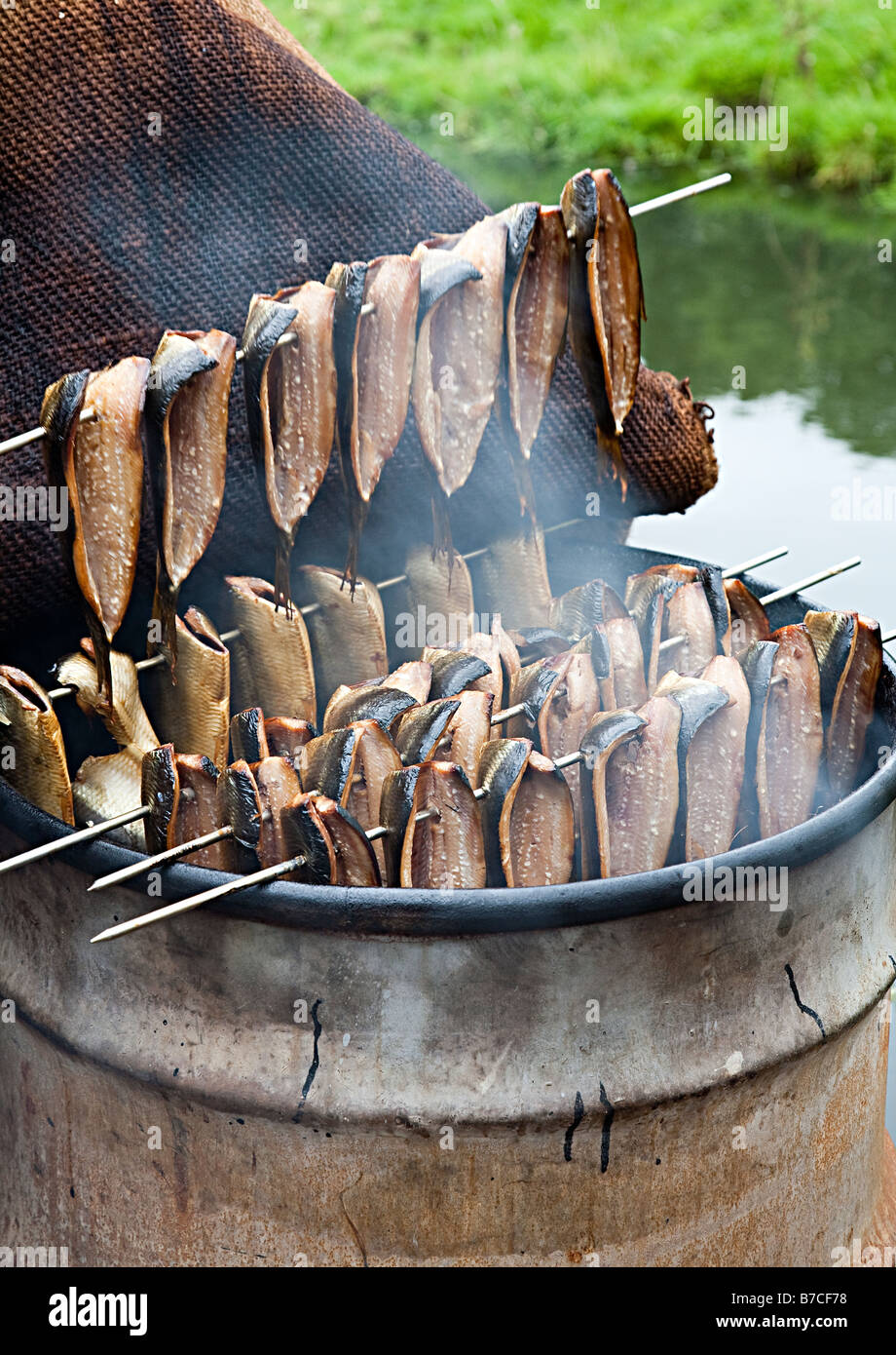 Poisson pour fumer Banque d'image et photos - Alamy