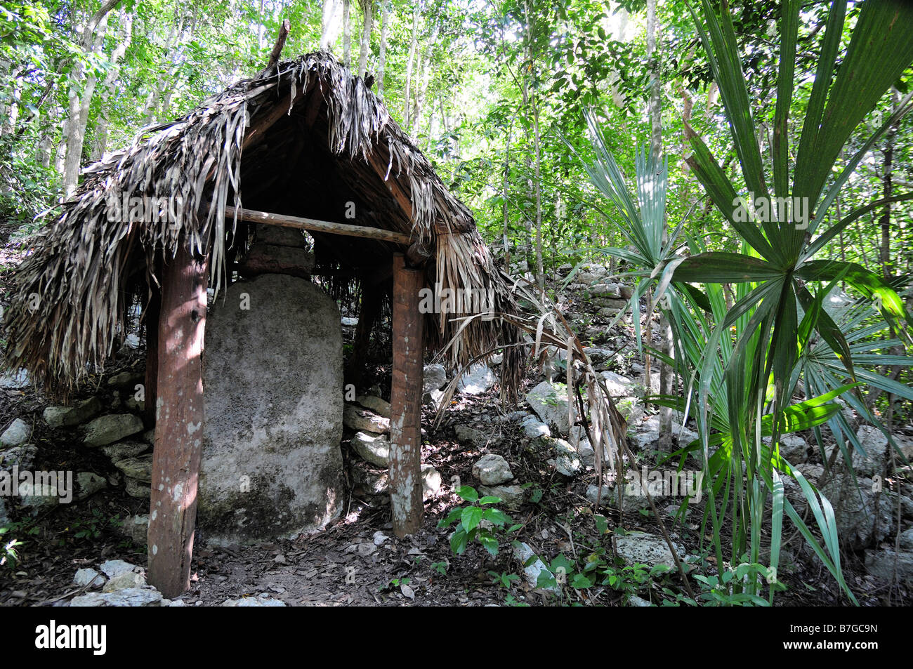 Ruines de la jungle Banque de photographies et d’images à haute ...