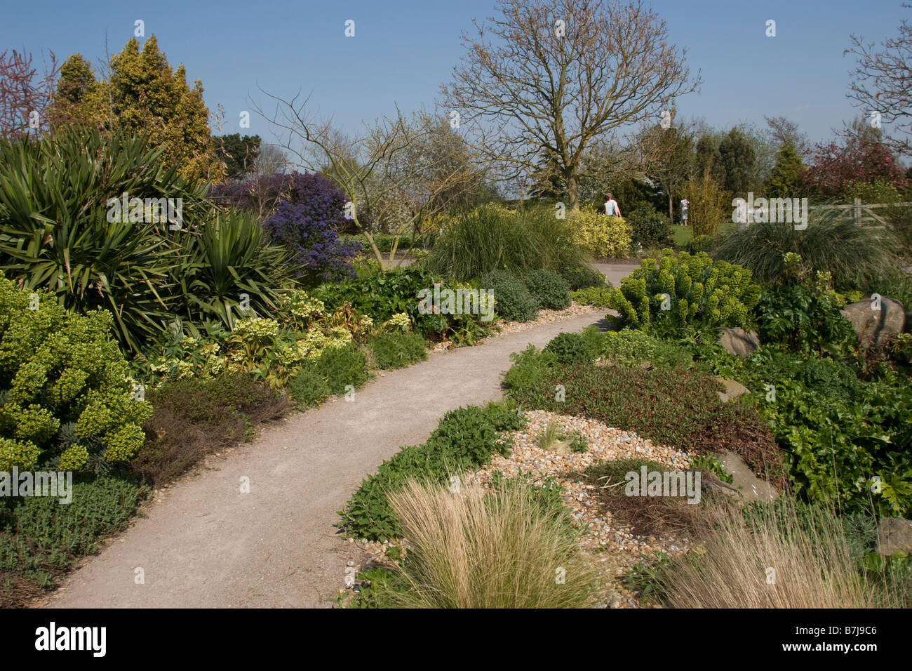 Jardin sec Banque de photographies et d’images à haute résolution - Alamy