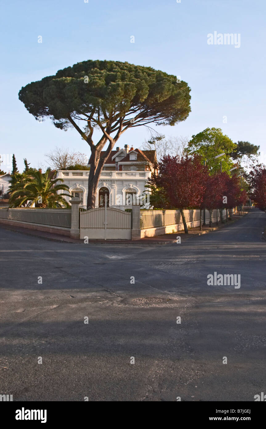 Pin parasol Banque de photographies et d’images à haute résolution - Alamy