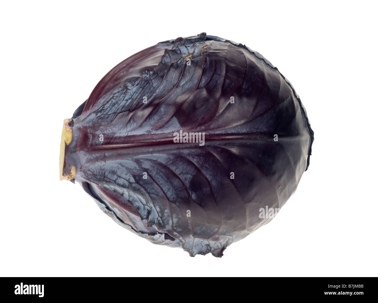 Choucroute au chou rouge Banque d'images détourées - Alamy