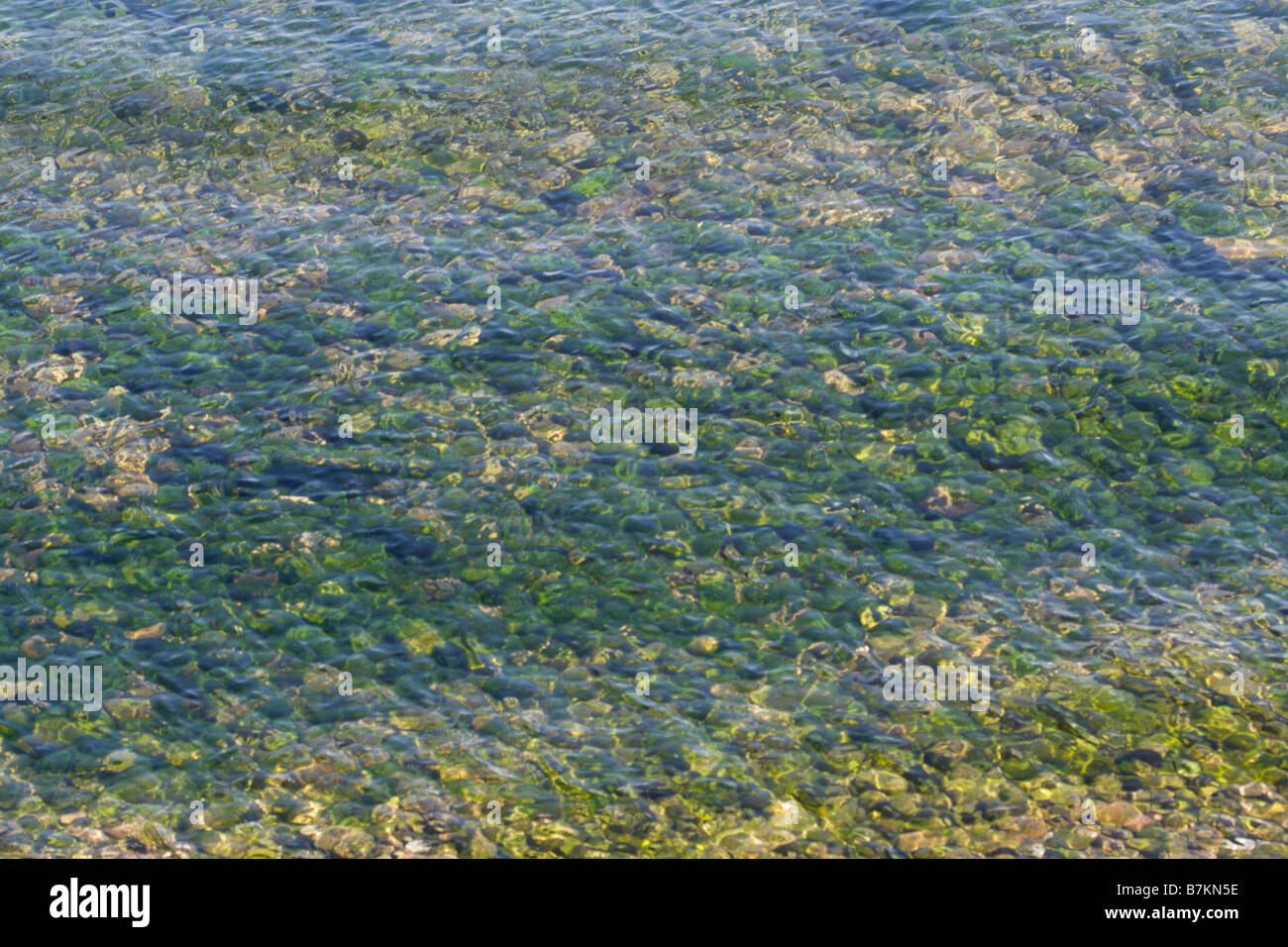 Eau de lac transparente Banque de photographies et d’images à haute ...