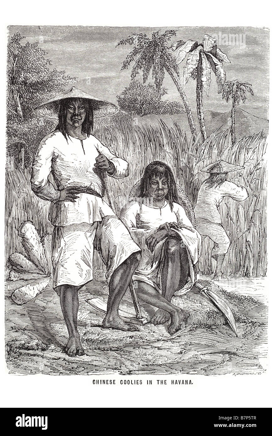 La Havane des coolies chinois interdit le commerce des esclaves l ...