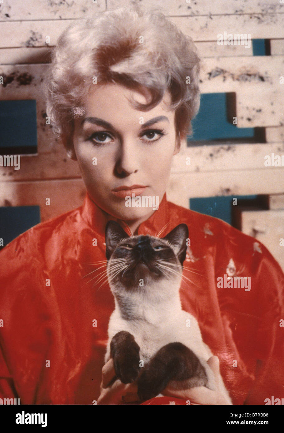 Kim Novak Bell Book And Candle Banque De Photographies Et Dimages à