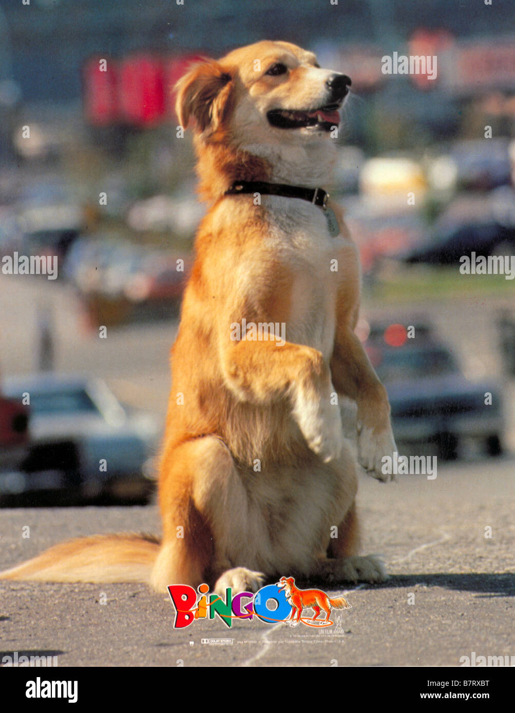 Directed by matthew robbins Banque de photographies et d’images à haute ...