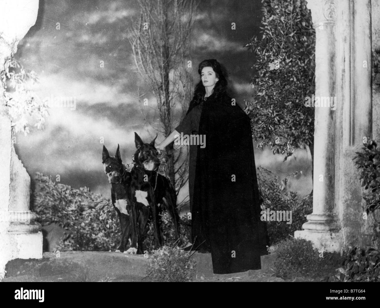 Barbara steele barbara steele barbara Banque d'images noir et blanc - Alamy