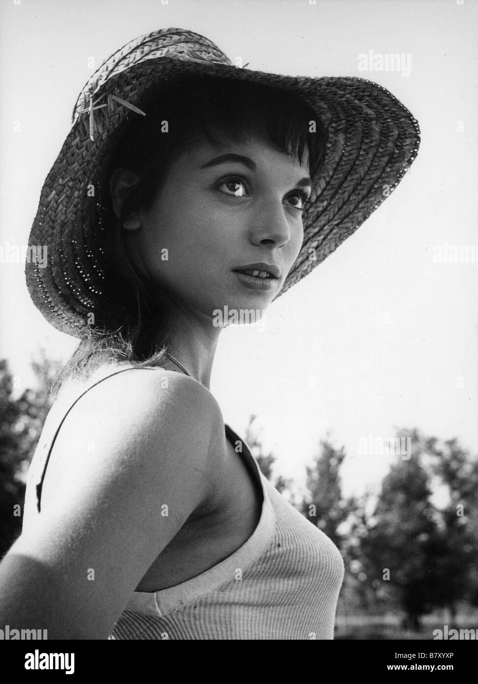Elsa martinelli elsa martinelli elsa Banque de photographies et d ...