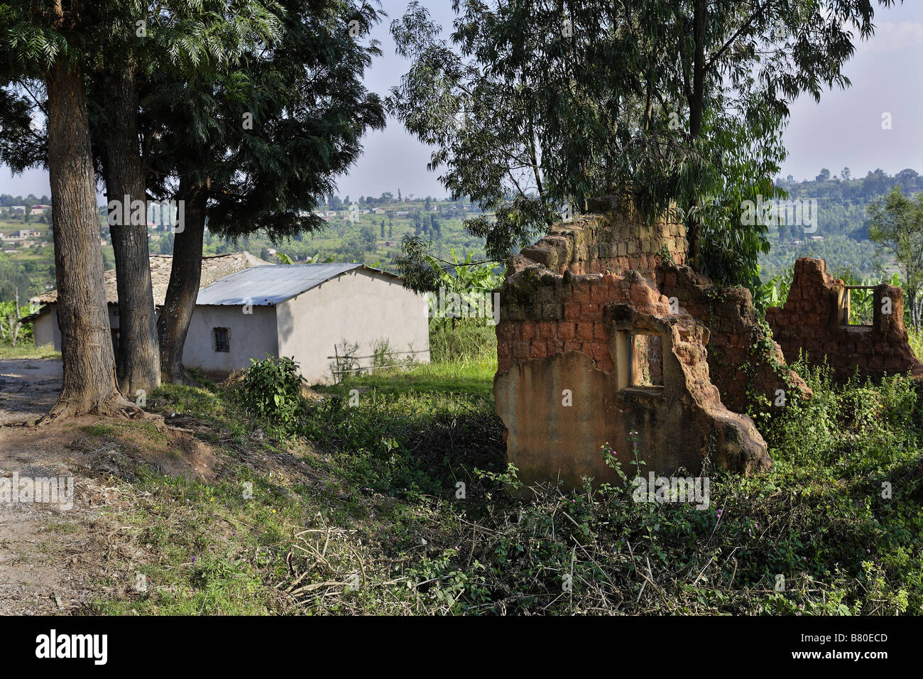 Vert rwanda Banque de photographies et d’images à haute résolution - Alamy