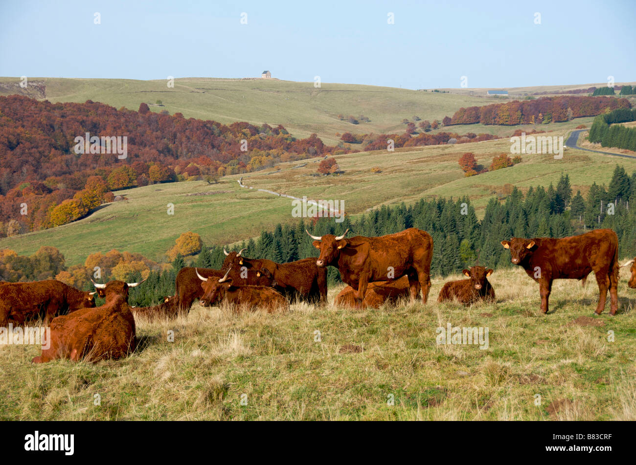 Race salers Banque de photographies et d’images à haute résolution - Alamy