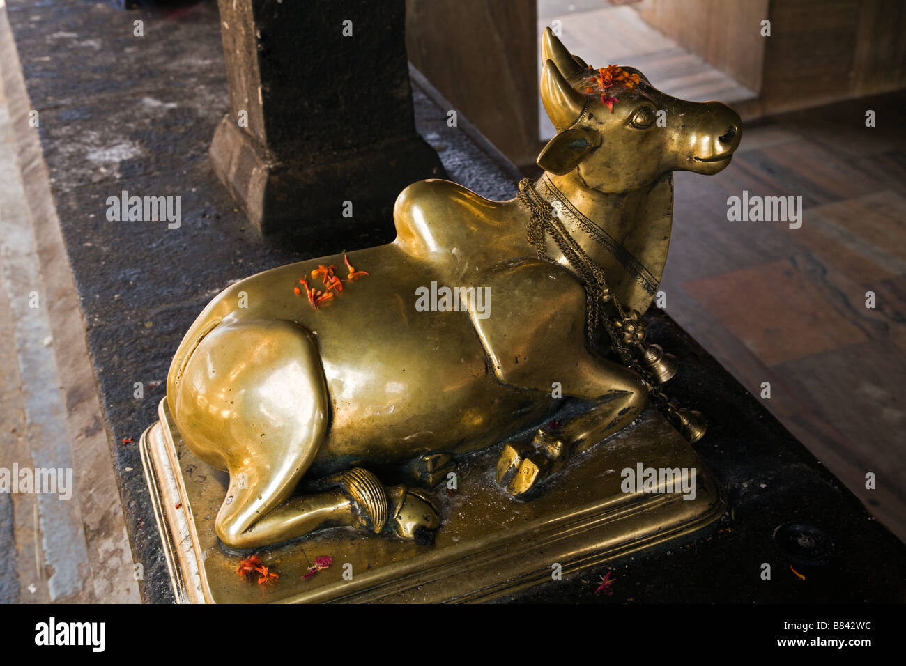 Le laiton statue de Nandi bull Shivas, compagnon, au temple de Shiva à Amman, l'État du Kerala ...