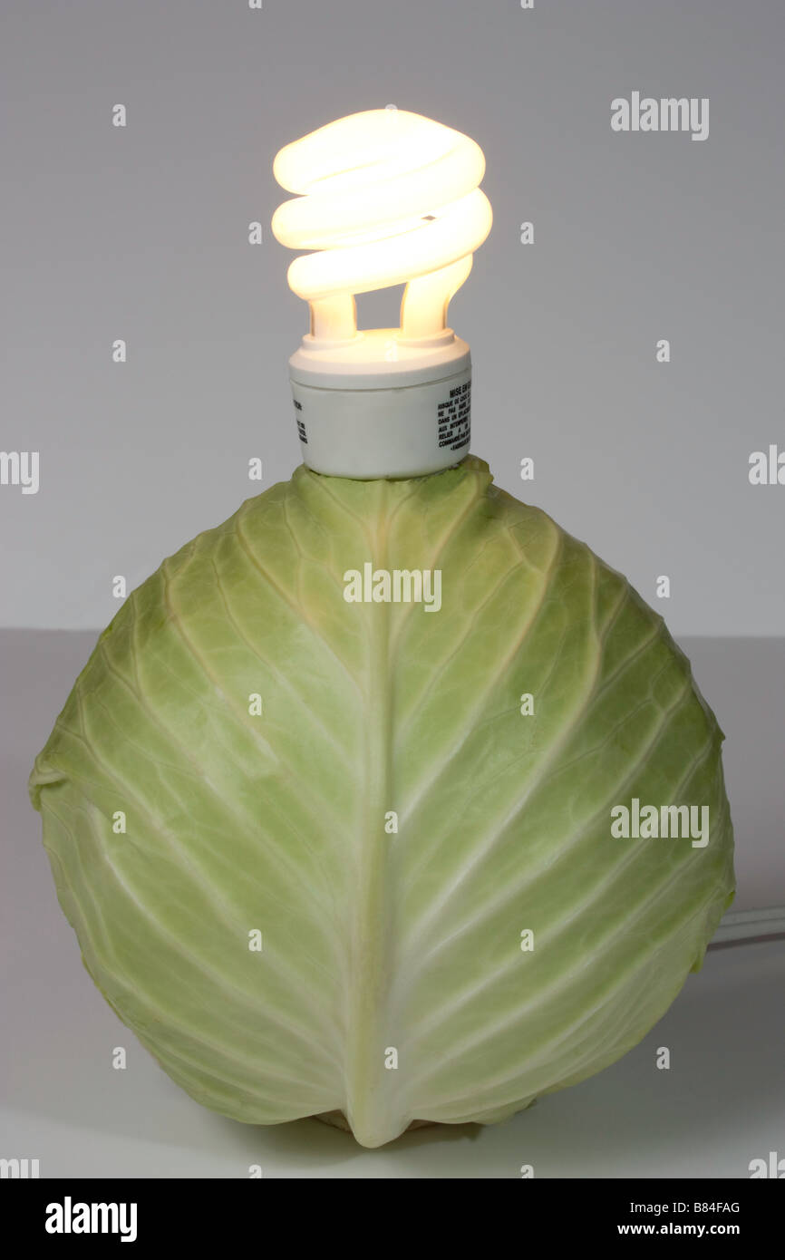 Methane lamp Banque de photographies et d’images à haute résolution - Alamy